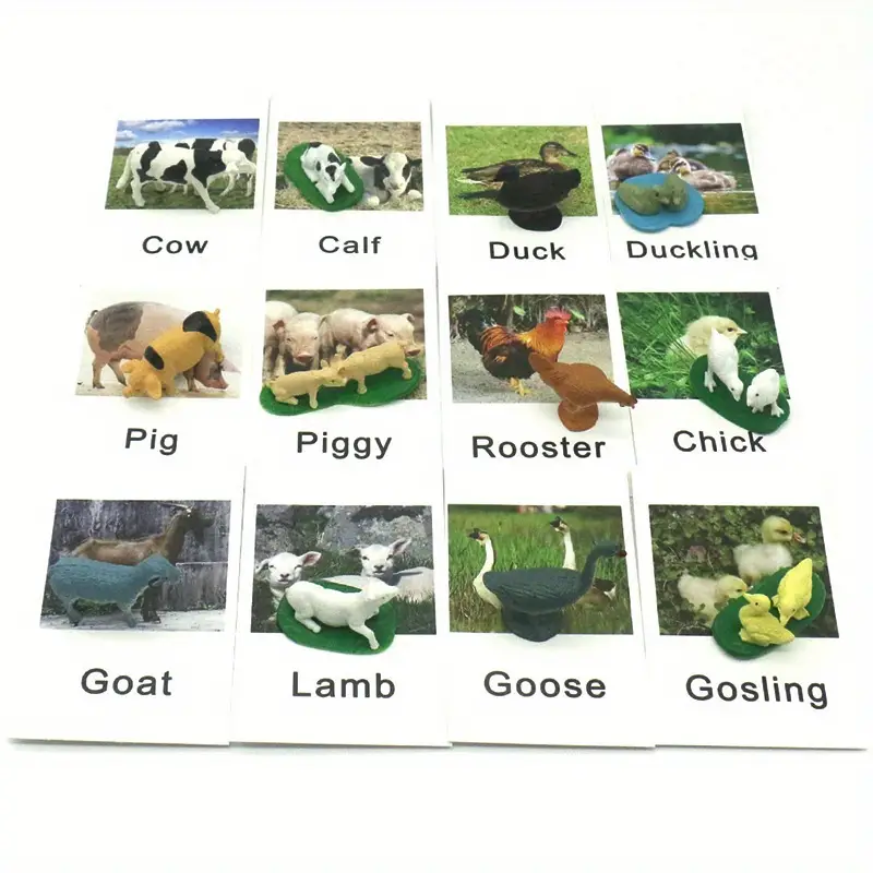 Montessori and More Classification Sets “Animal Figures with Cards ...